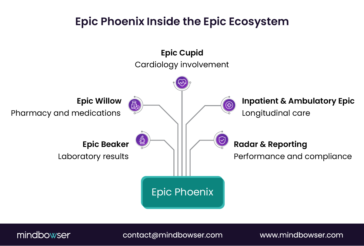 Epic Phoenix: A Guide to Transplant Management